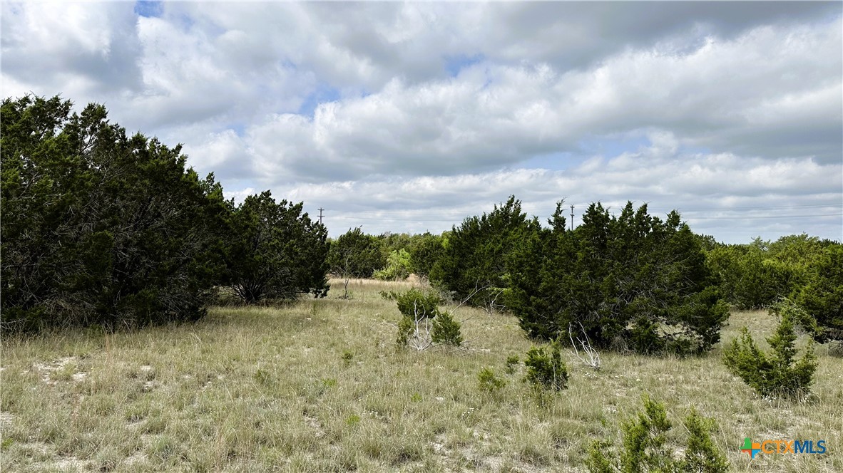 Active: 0 Big Divide Road, Copperas Cove, TX 76522 - $320,000 - Listing ...